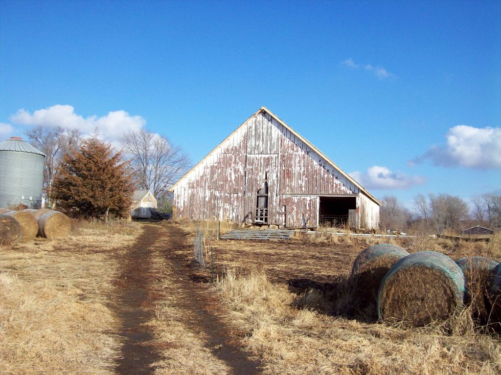 Coyote Run Farm - About Us